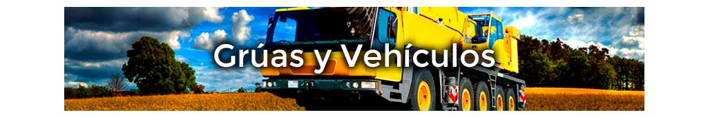 Montra Solutions | Aplicacion Gruas y Vehiculos